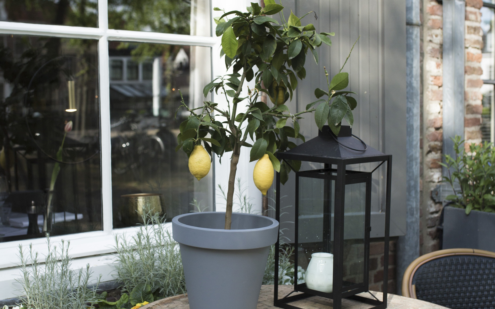 Da Gabriele | Cucina Italiana